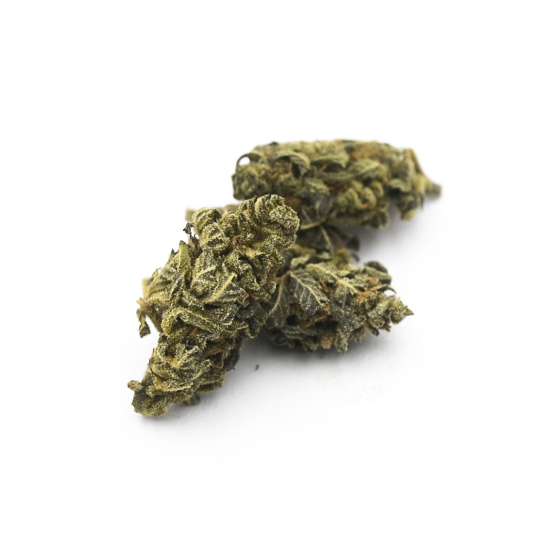 15% HIGH CBD RNTZ - CBDdiscounter 15% HIGH CBD RNTZ - CBDdiscounter