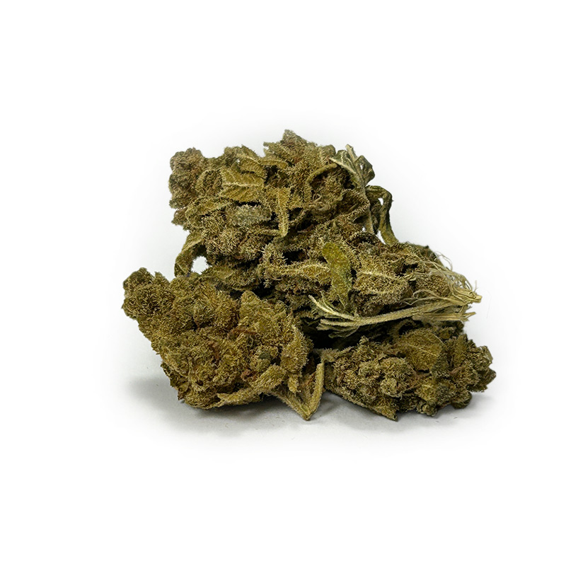 Aged CBD Buds - CBDdiscounter